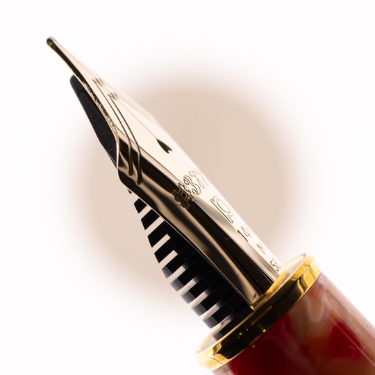 Platinum 3776 Century Celluloid Tortoise | Fountain Pen | Stilo&Stile